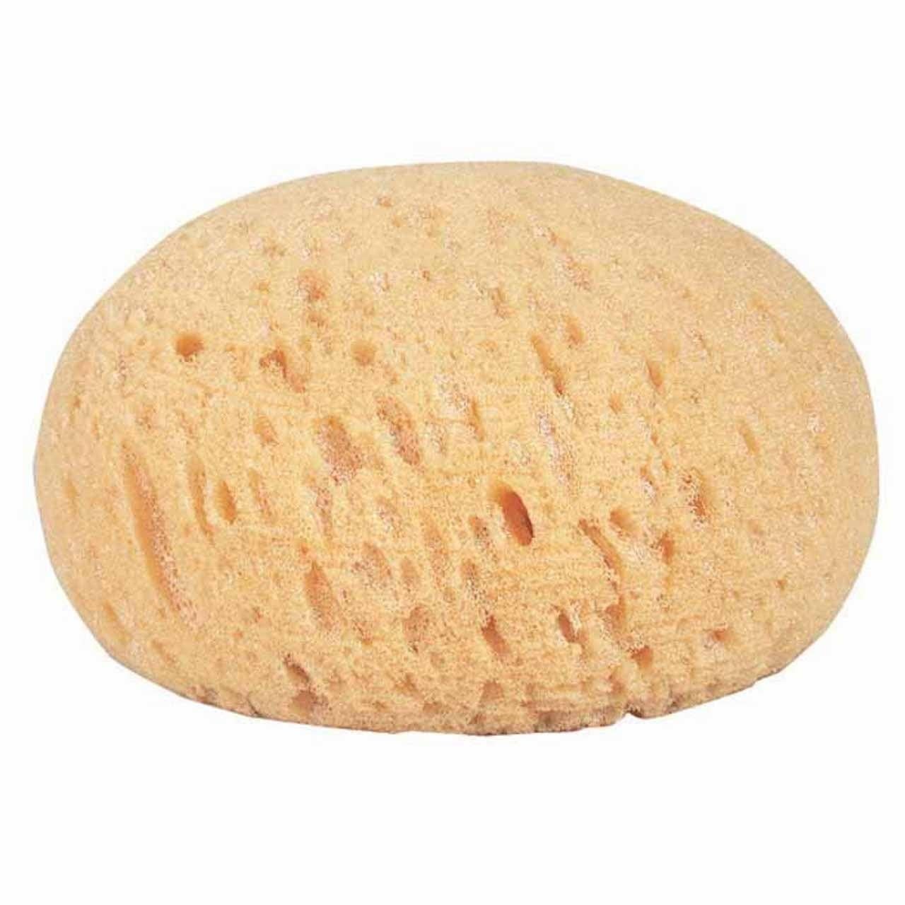 Round Synthetic Tack Sponge | Hay Farm